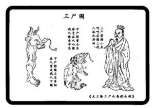The Taoist Diet - Surprising Fundamentals That Really Work